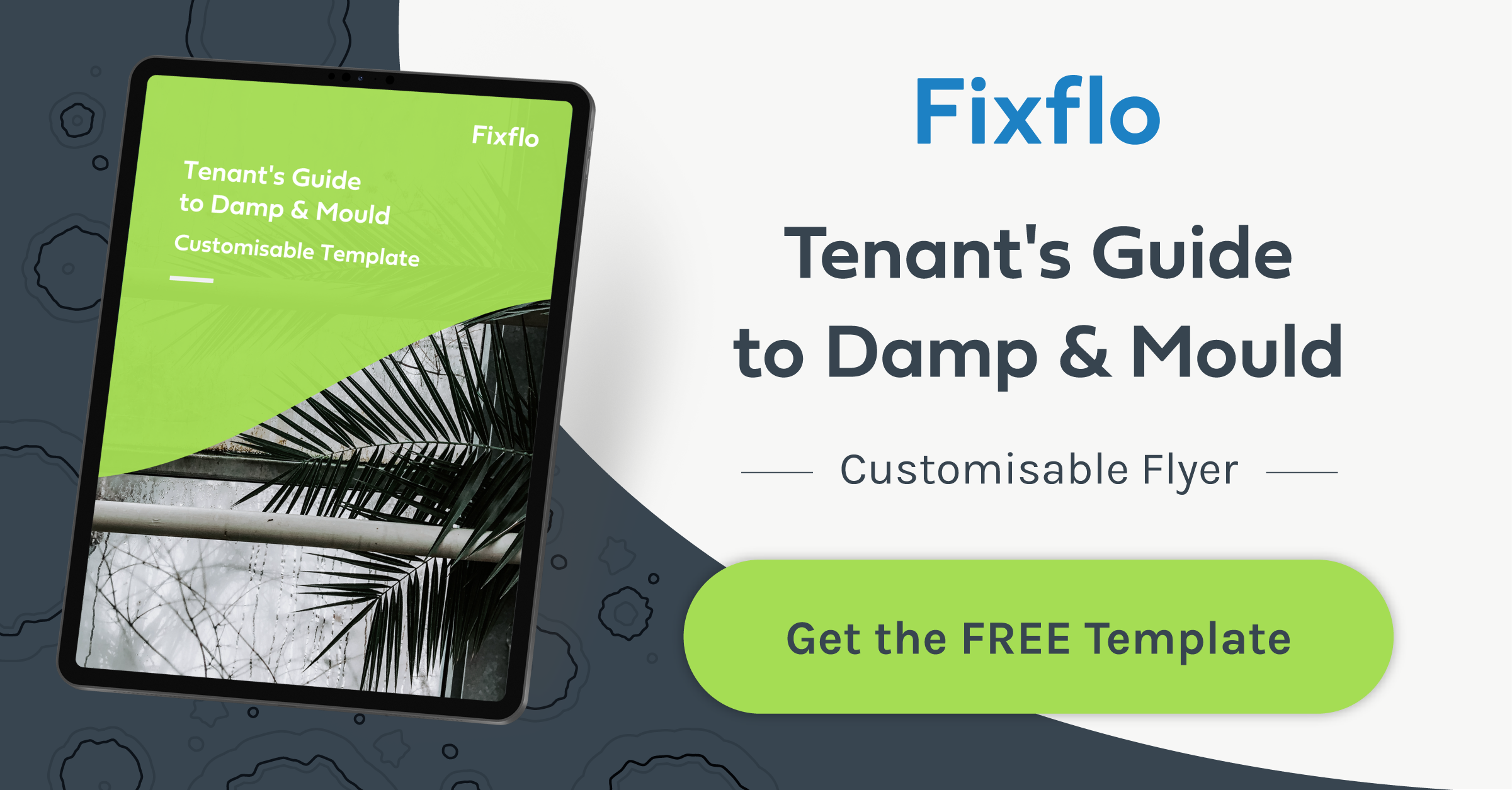Tenant's Guide to Damp & Mould - Customisable Flyer Template